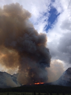 Banff National Park: Snarl Peak Wildfire – Gateway Gazette
