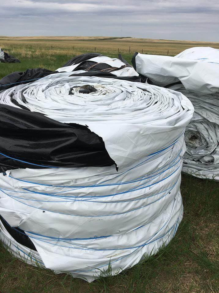 Recycling Pilot Tackles Agricultural Waste – Gateway Gazette